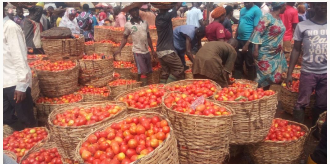 Lagos Govt reopens Mile 12 market - Consumertrics